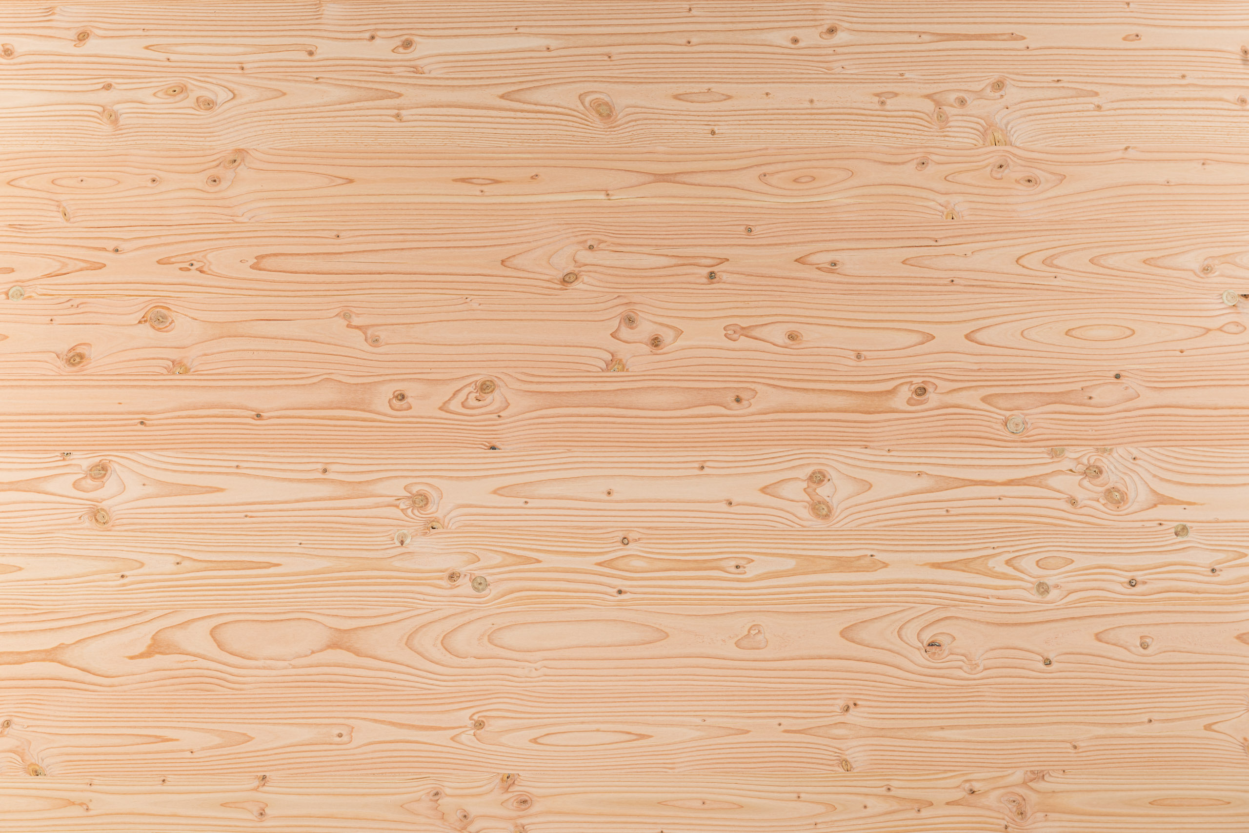 Douglasie - Massivholzplatten